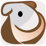 cavy madness – making the world a nicer place, one guinea pig at a time.